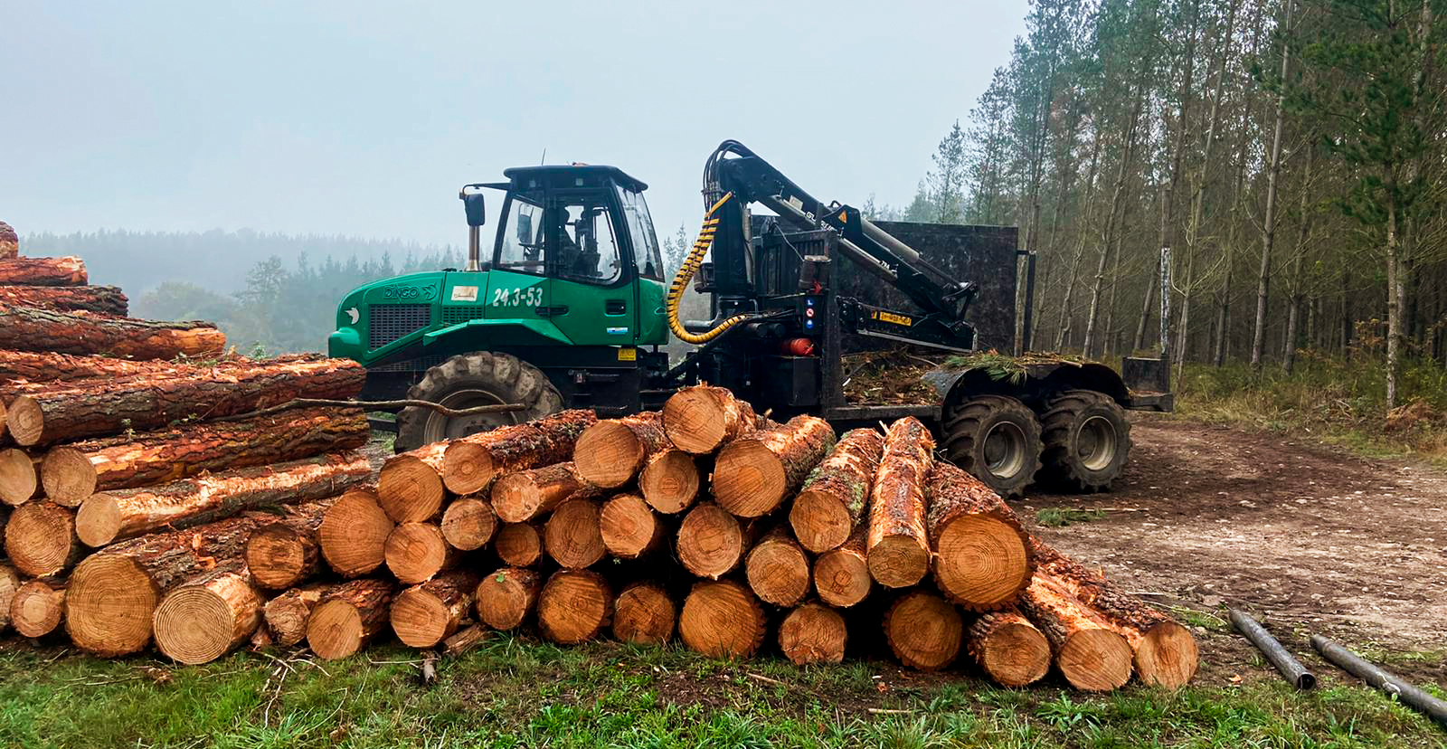 Explotaciones Forestales - Transformaciones Galicia